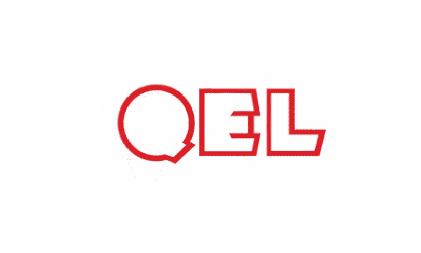 QEL Gas Detection Sensors Monitors By QEL Safety | WilsherCo, Inc.